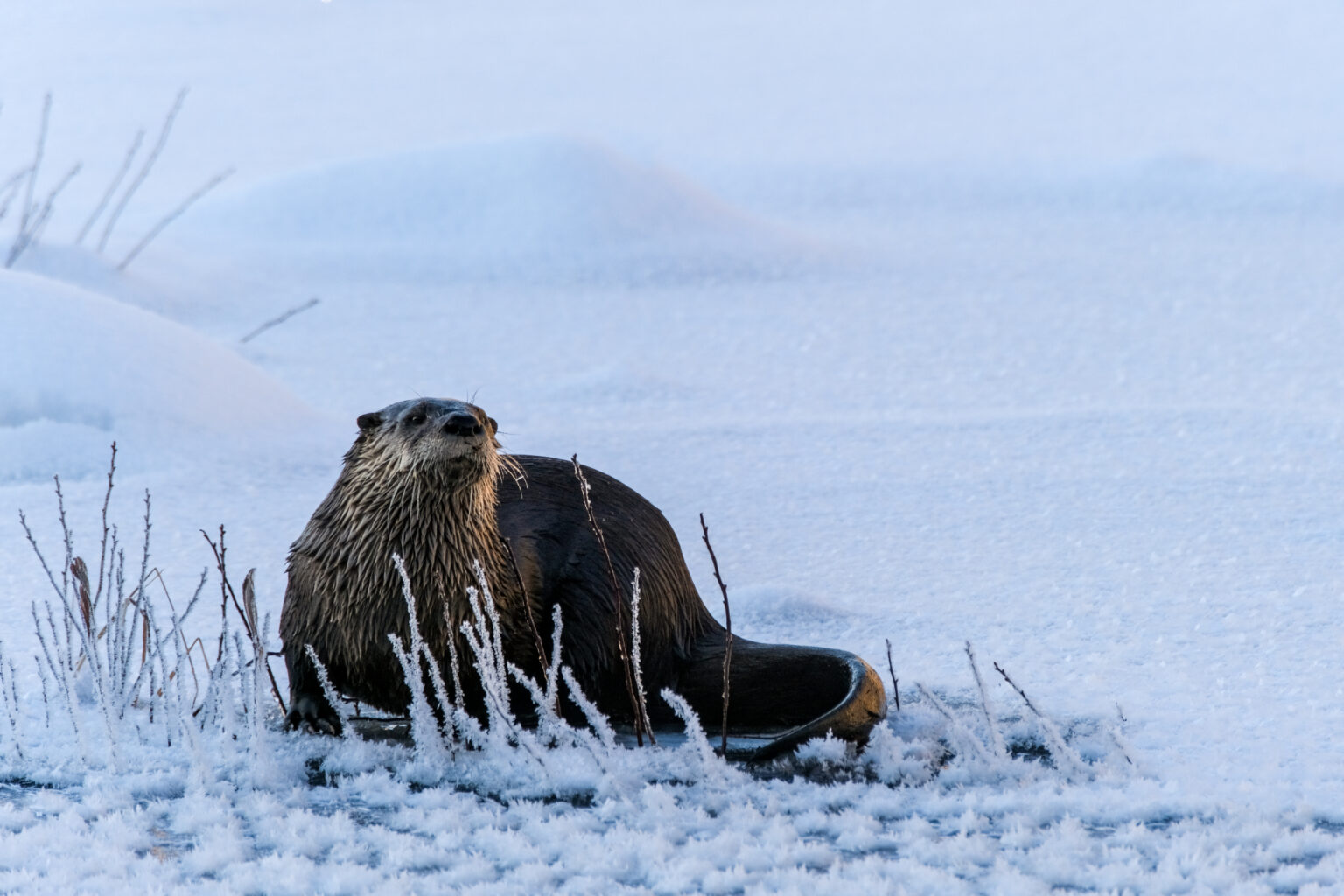 Colin Temple – From my point of view