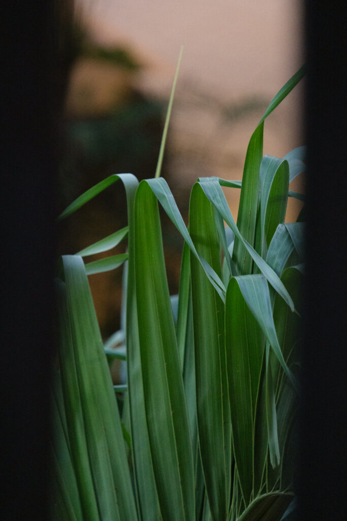 Colin Temple – From my point of view